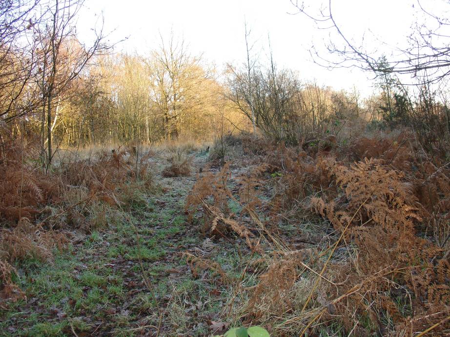 Volunteer wardens needed at Stanmore Common